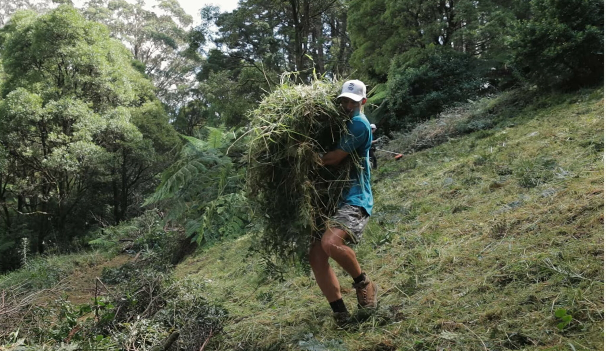Bushfire Resilience in Australia - Habitat for Humanity GB